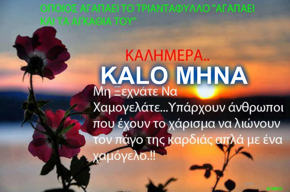 4 Ever-Life: Kalo Mina